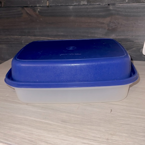 Tupperware | Kitchen | Vintage Tupperware Marinator In Blue Seems To Be ...